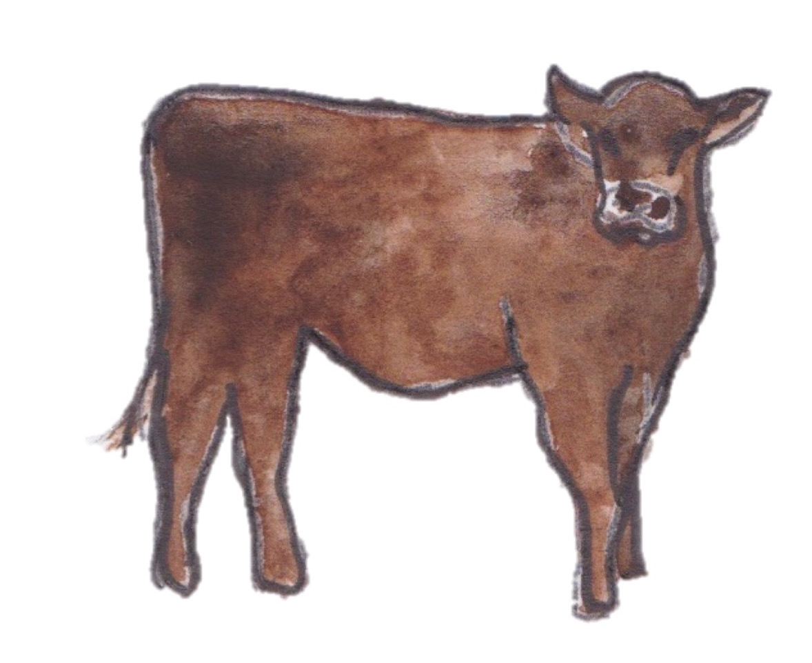 Carnivores, Not Condos – Western Confluence