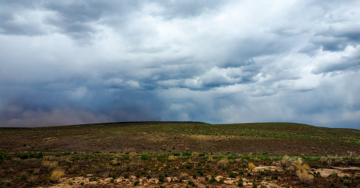 Cheatgrass on Fire – Western Confluence