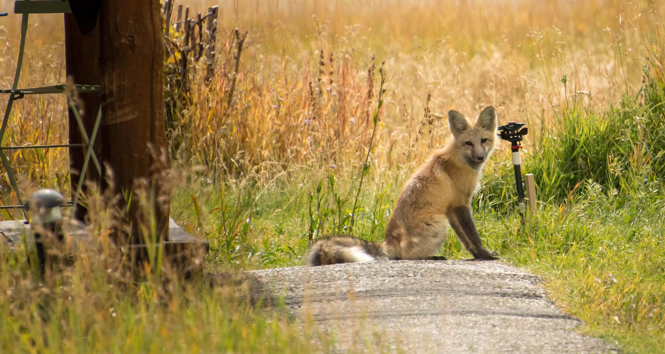 The Outdoor Recreation Ecosystem – Western Confluence